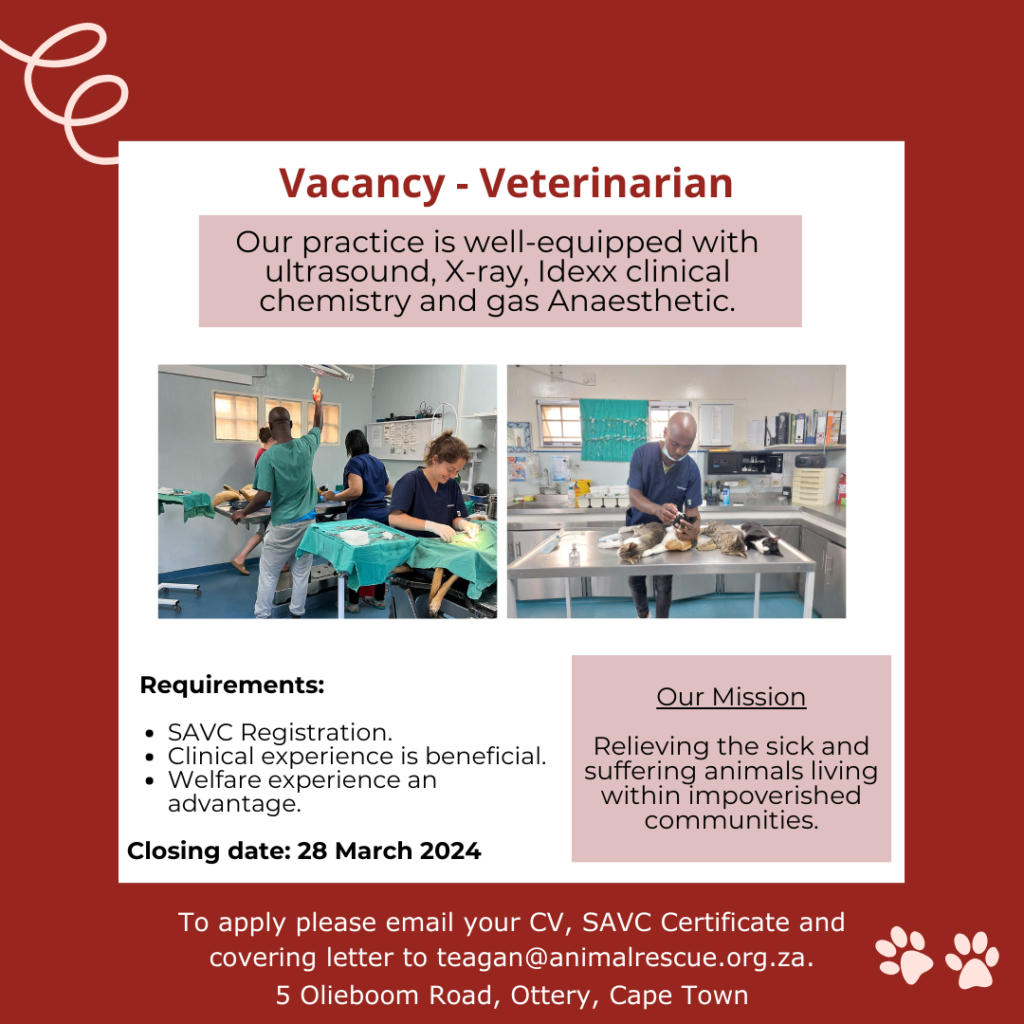 Vacancies – Animal Rescue Organisation